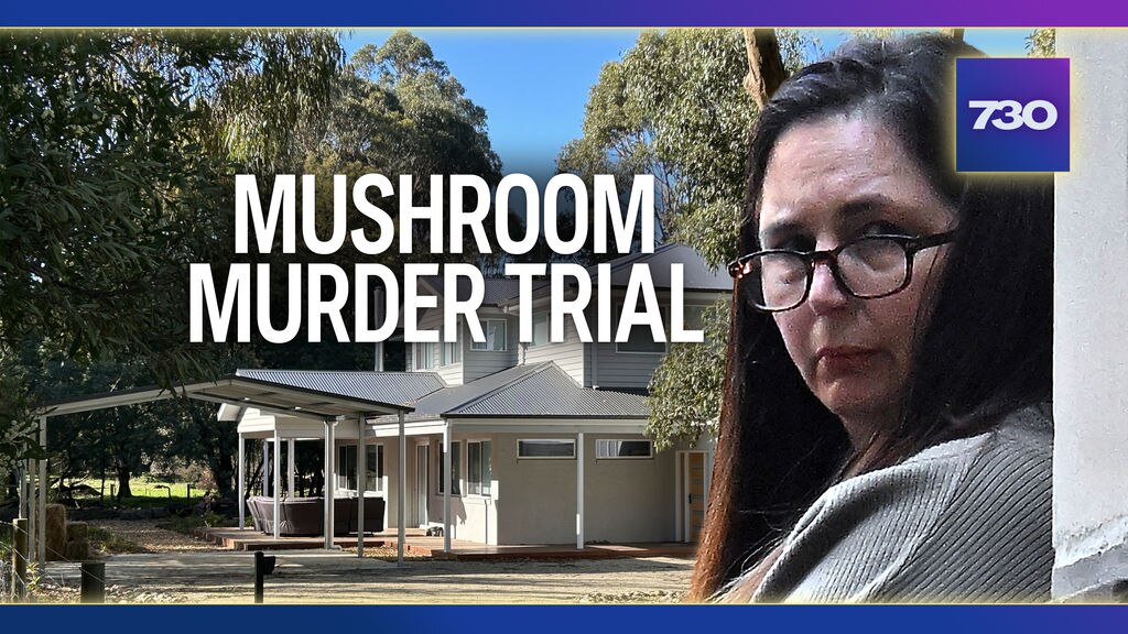 Ex-husband testifies in mushroom murder trial - ABC News