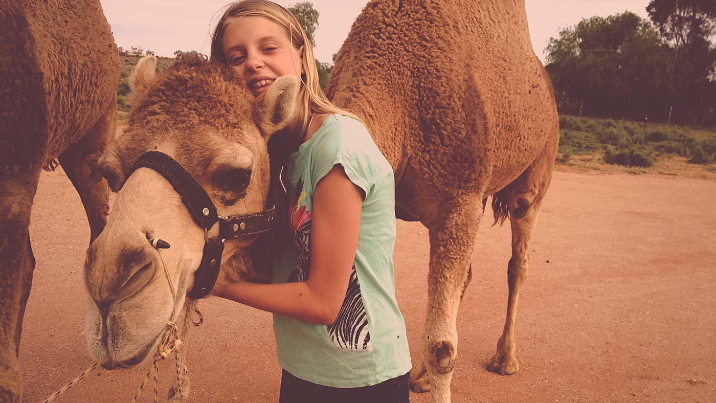 Pet Camels