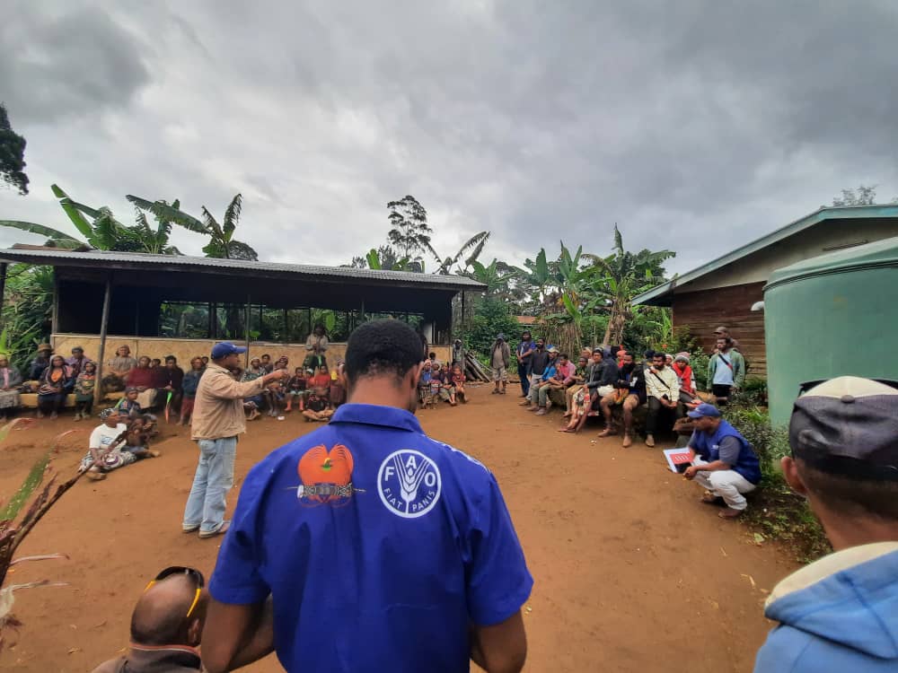 19 dead and hundreds displaced by tribal violence in PNG - ABC Pacific