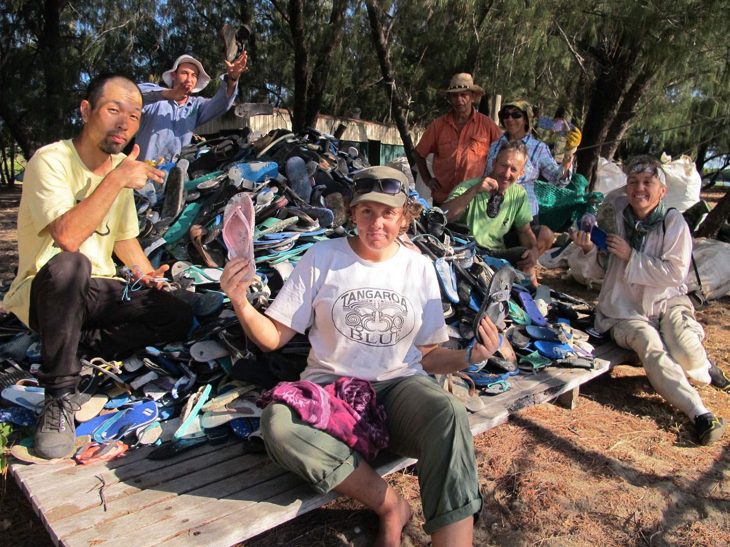 Conservation holidays proving popular with tourists to Queensland - ABC ...