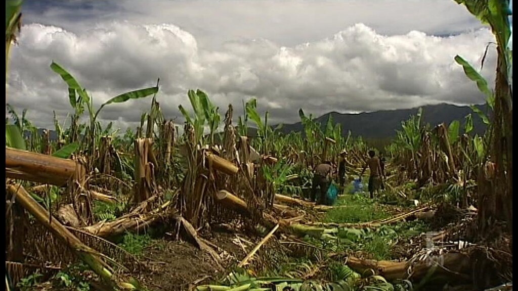 Residents still recovering from Cyclone Yasi - ABC News
