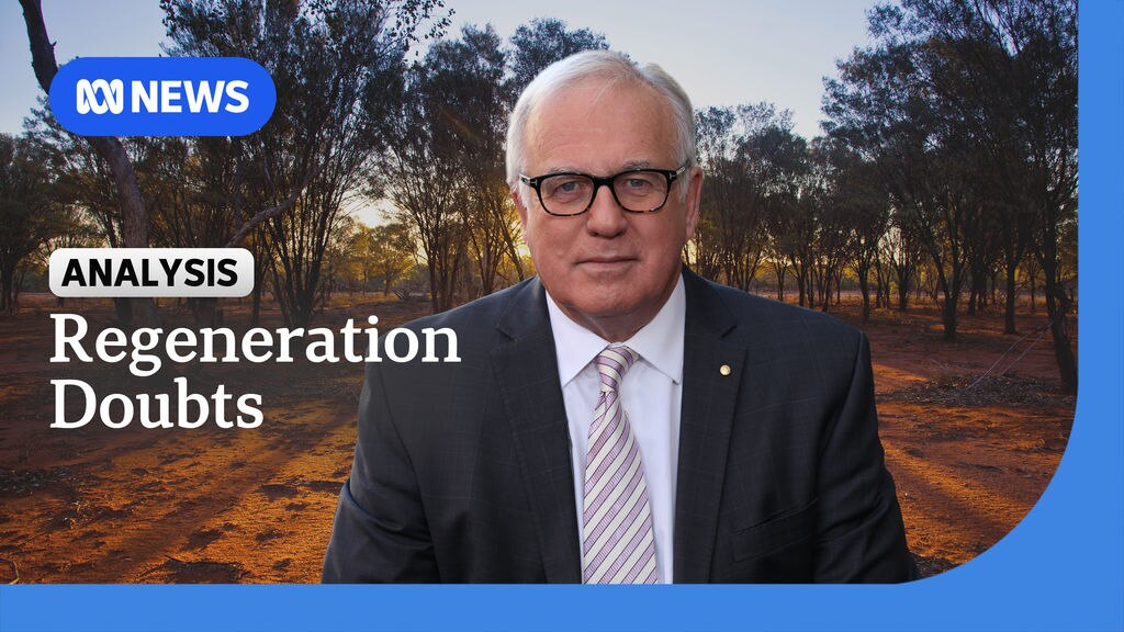 Carbon (dis)credits - ABC News