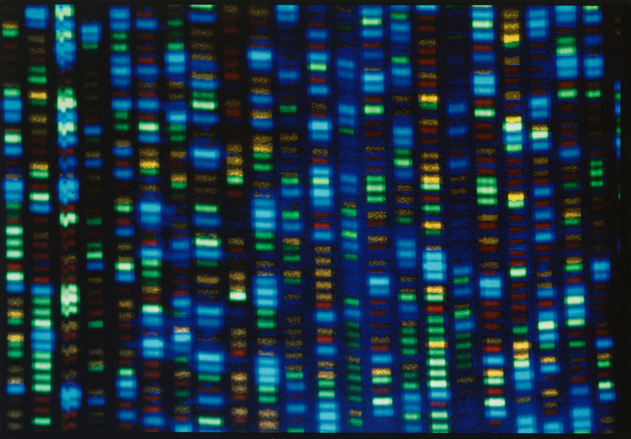 Scientists finally decode the first complete human genome, which sat ...