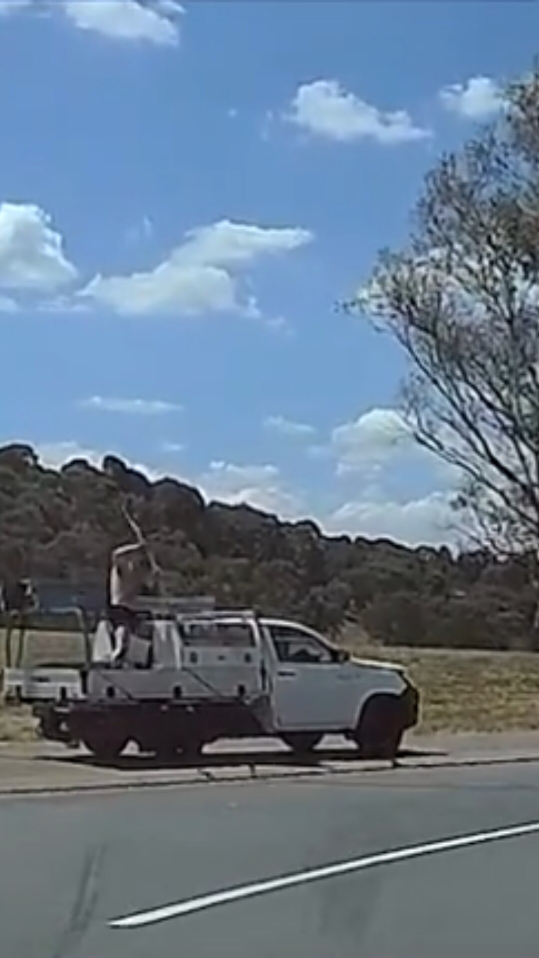 Canberra man climbs on ute in dramatic dashcam footage - ABC News