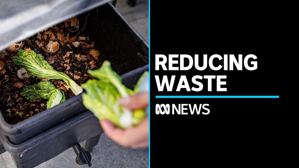 Garbologist gives advice on cutting back on waste - ABC News