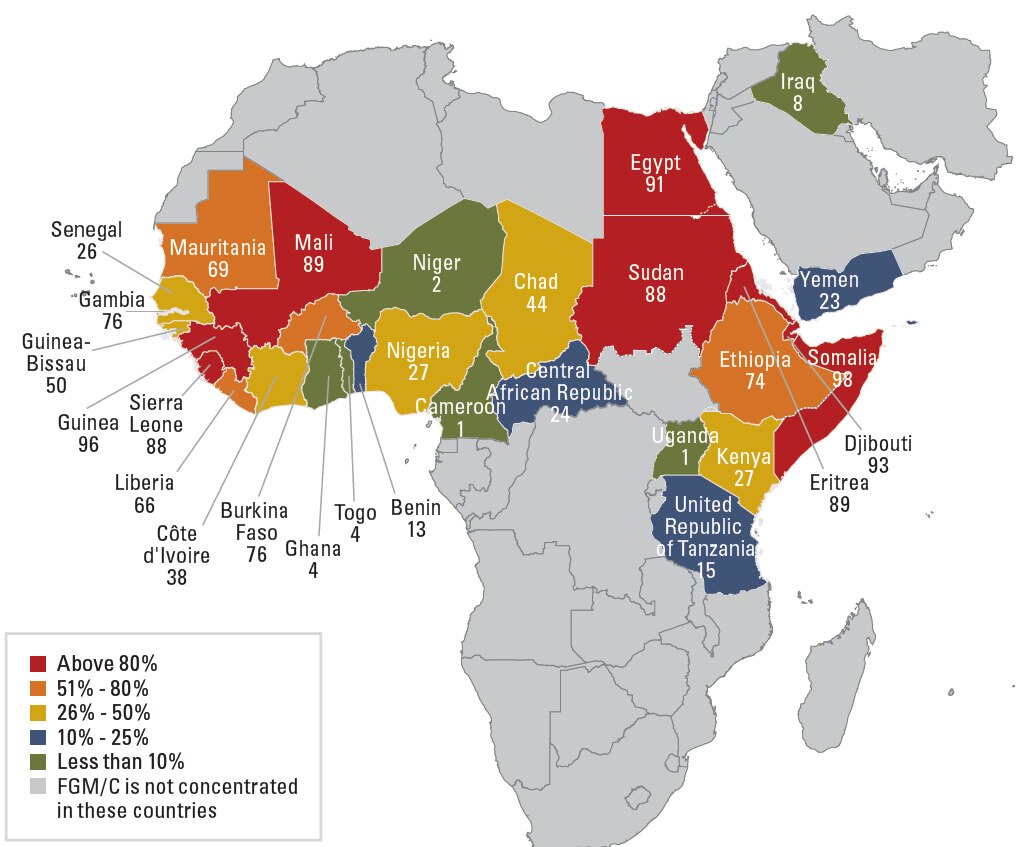 Sudan moves to ban female genital mutilation with landmark law - ABC News