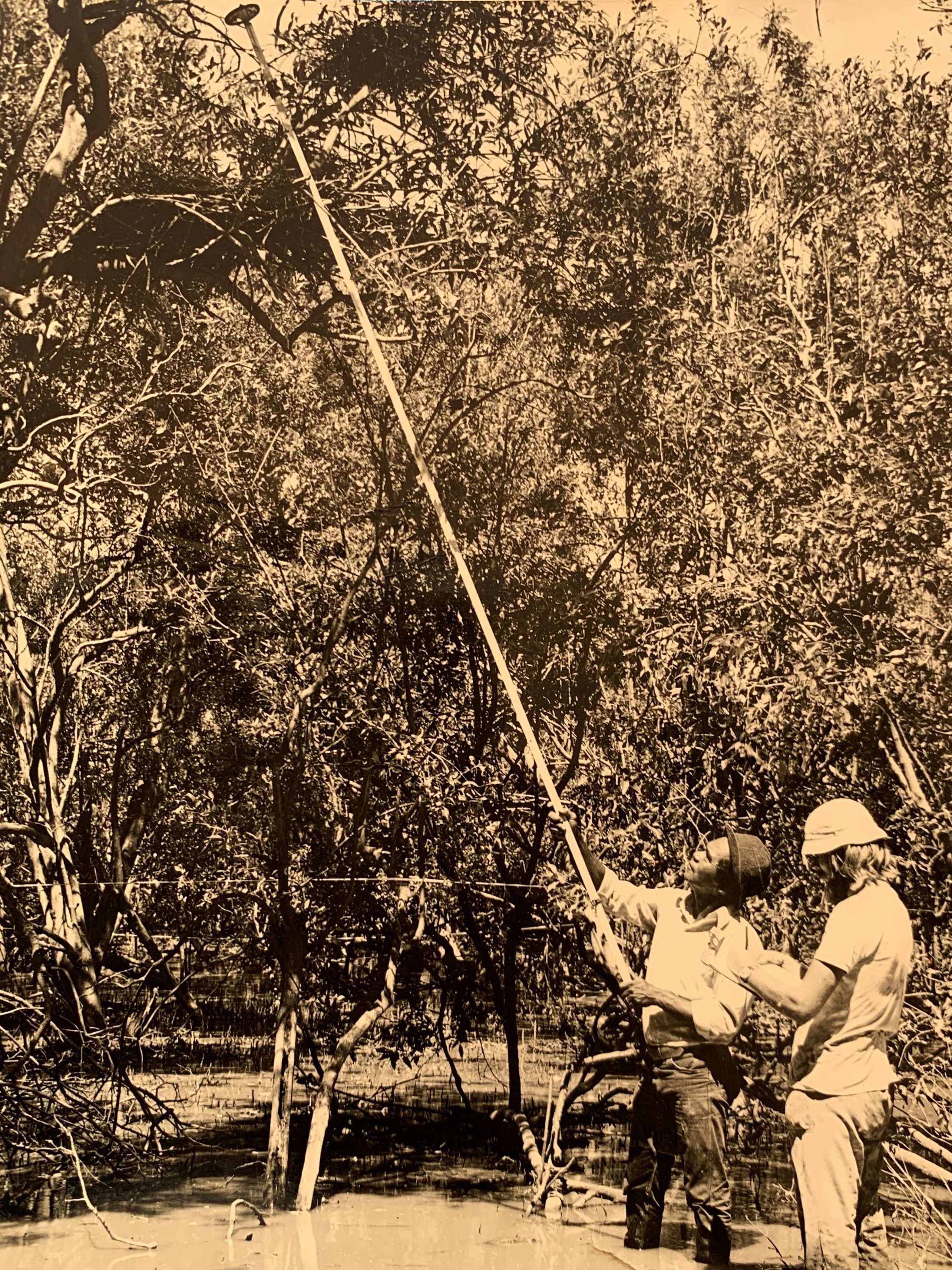 Tributes flow for 'superb bushman' Peter Pangquee, who was instrumental ...