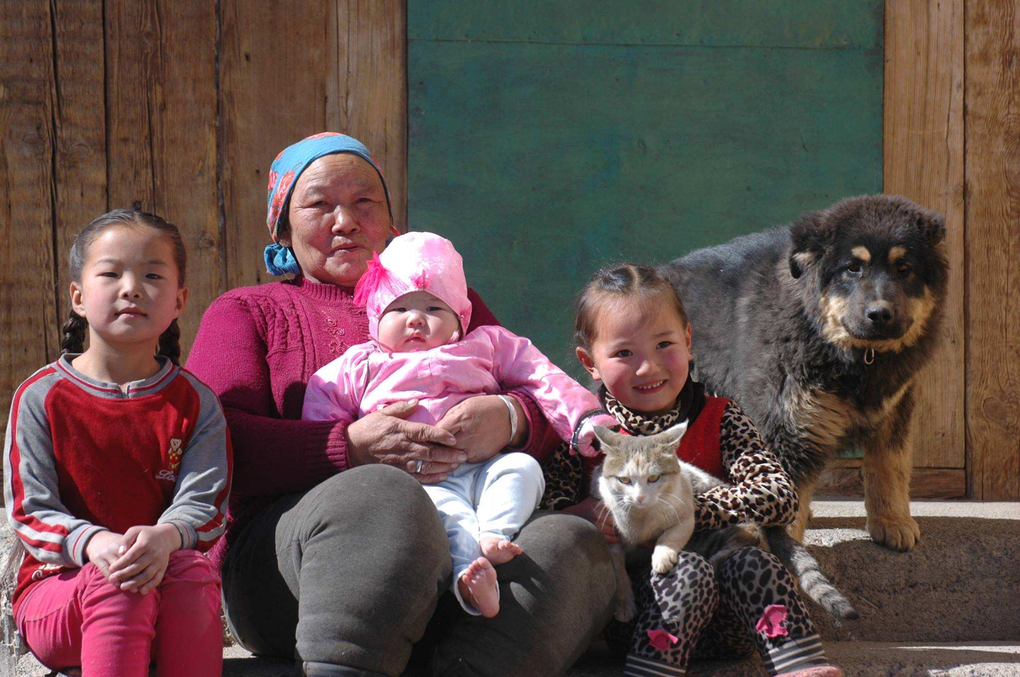 How two young Americans ended up breeding a Mongolian dog to save snow ...