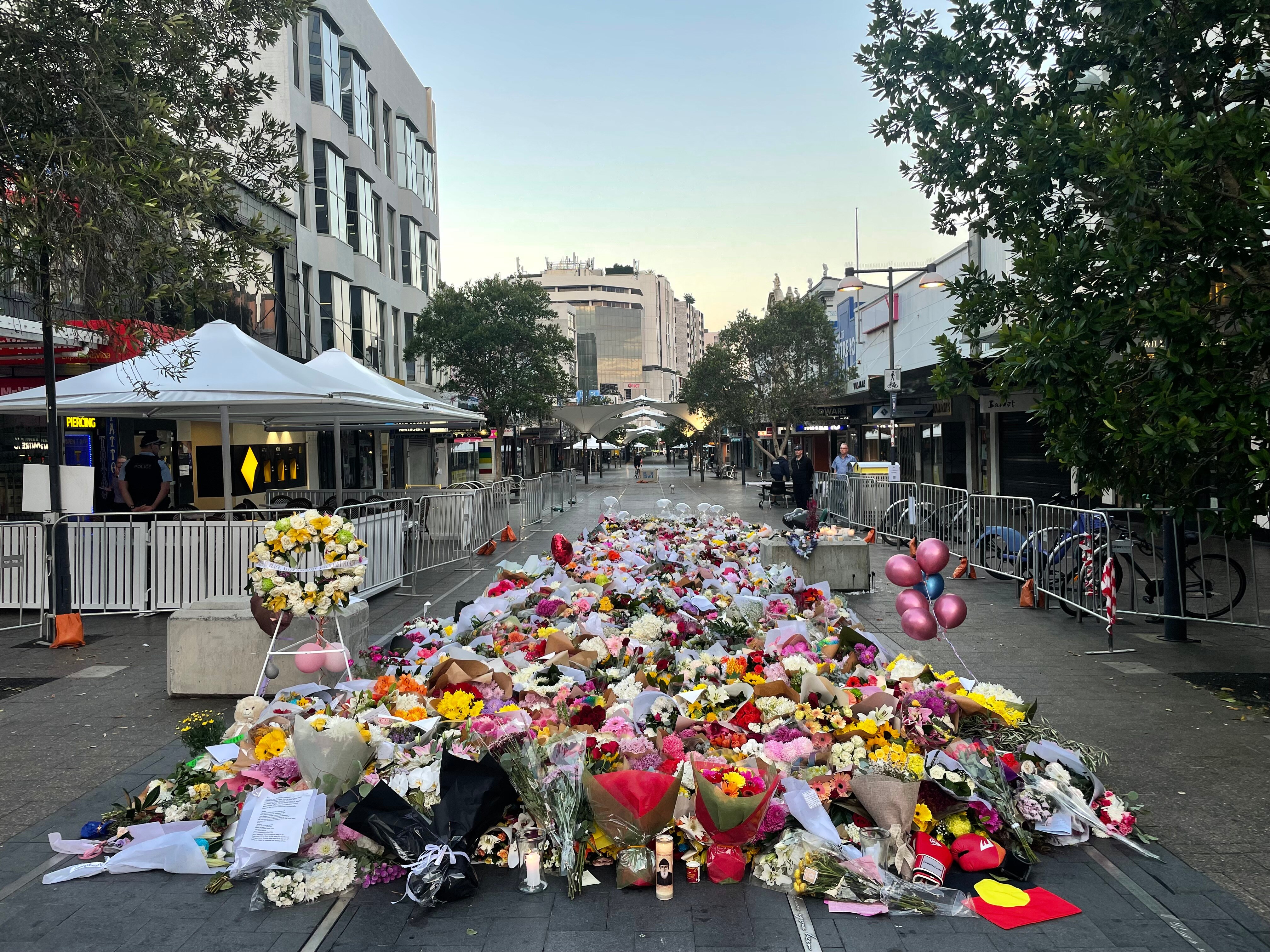 A year on from the Bondi Junction Westfield attack - ABC News