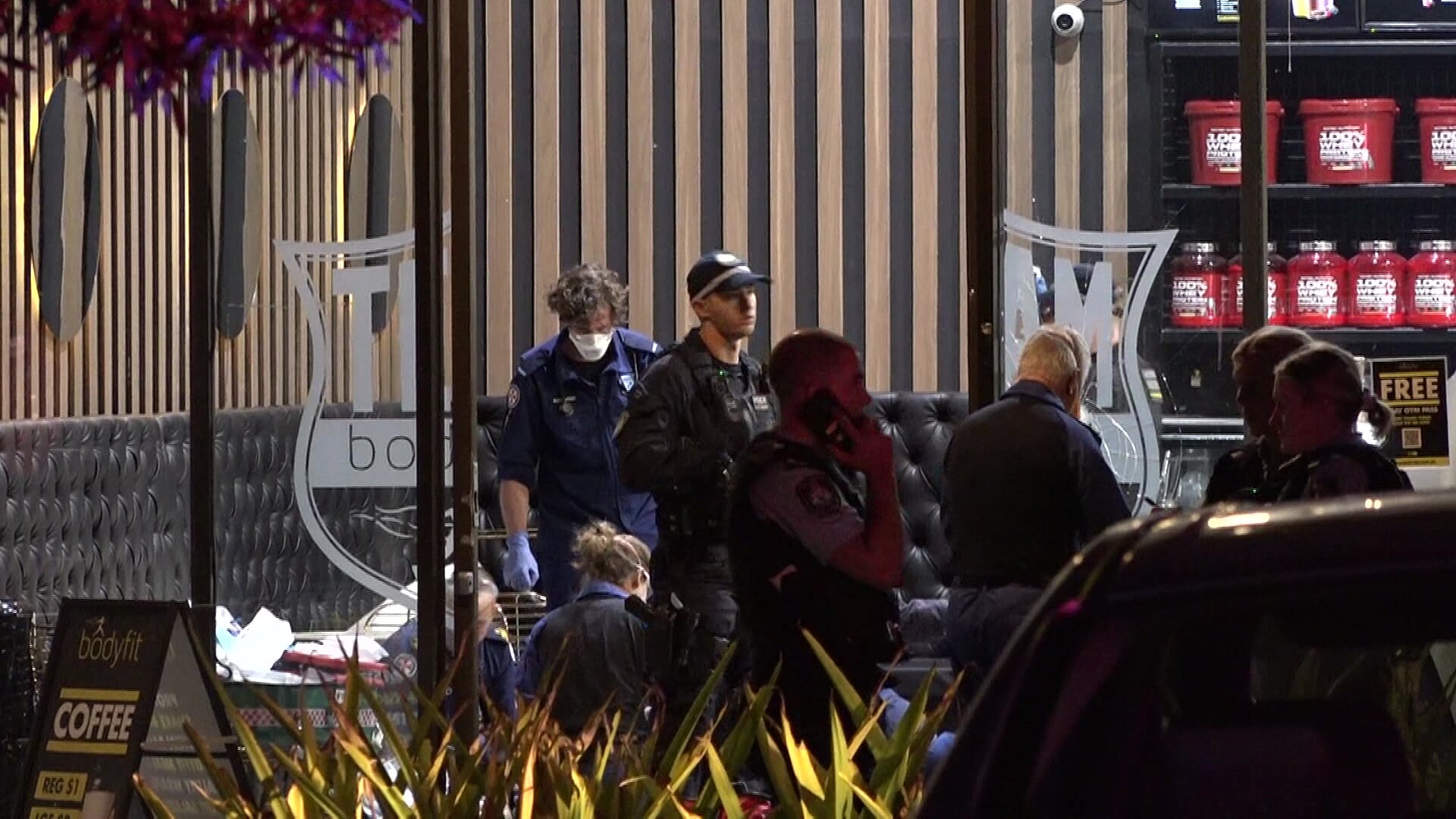 Emu poo could bring the quandongs back - ABC News