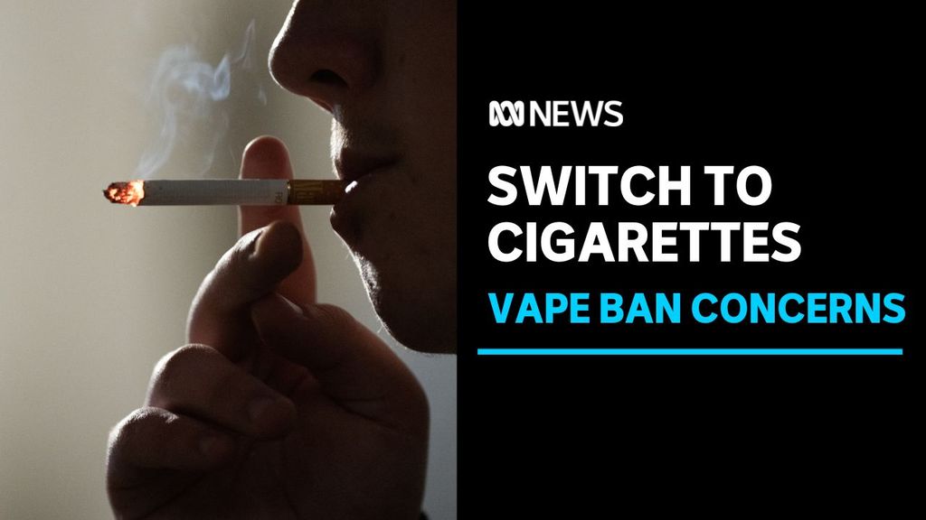 Marion Scrymgour takes legal action against Lidia Thorpe - ABC News