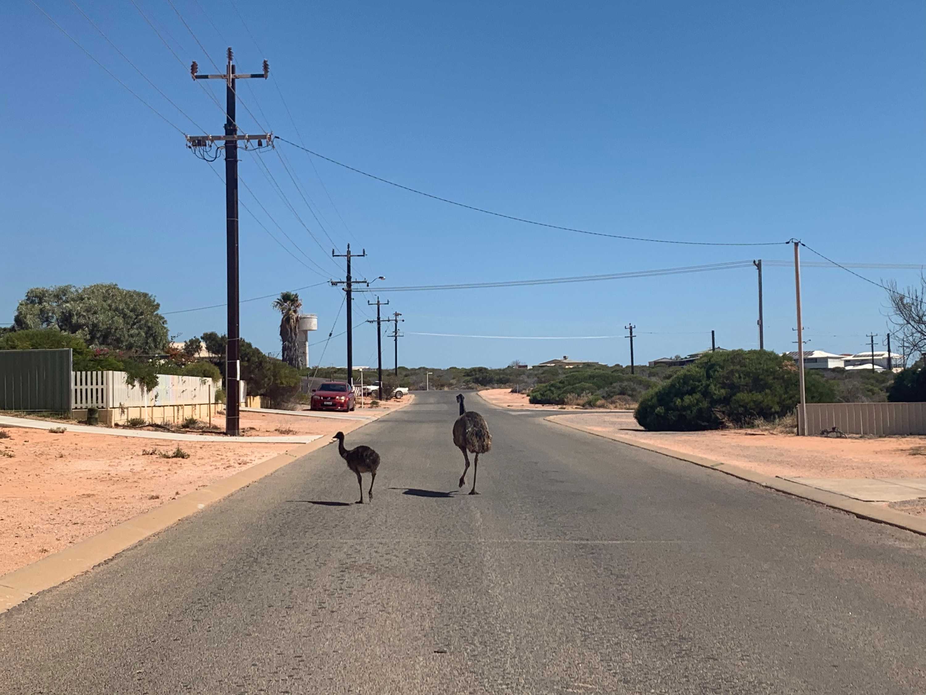 WA tourist town of Denham to become zero-emission community powered by ...