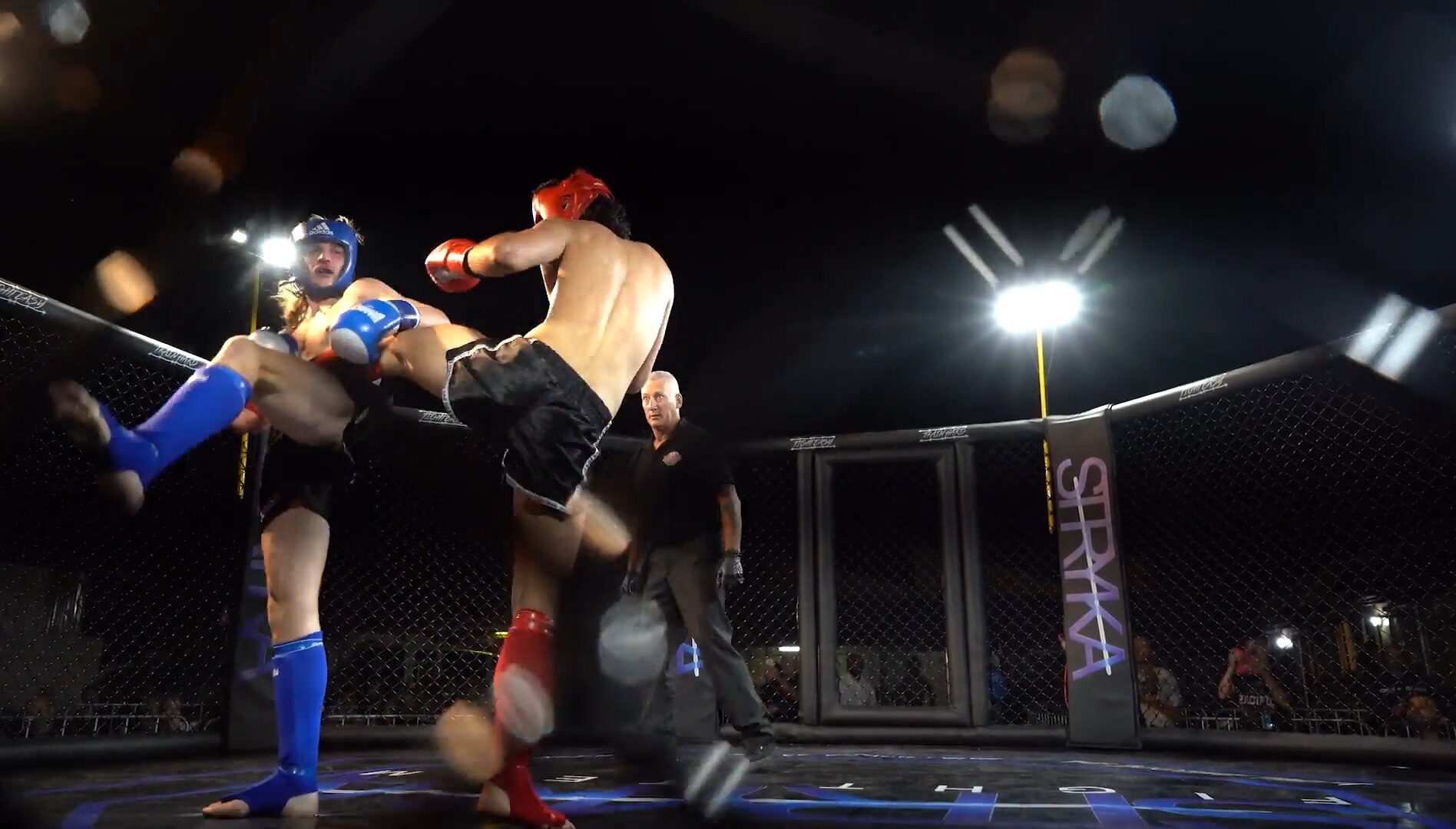 The fights are not for the faint-hearted. - ABC News