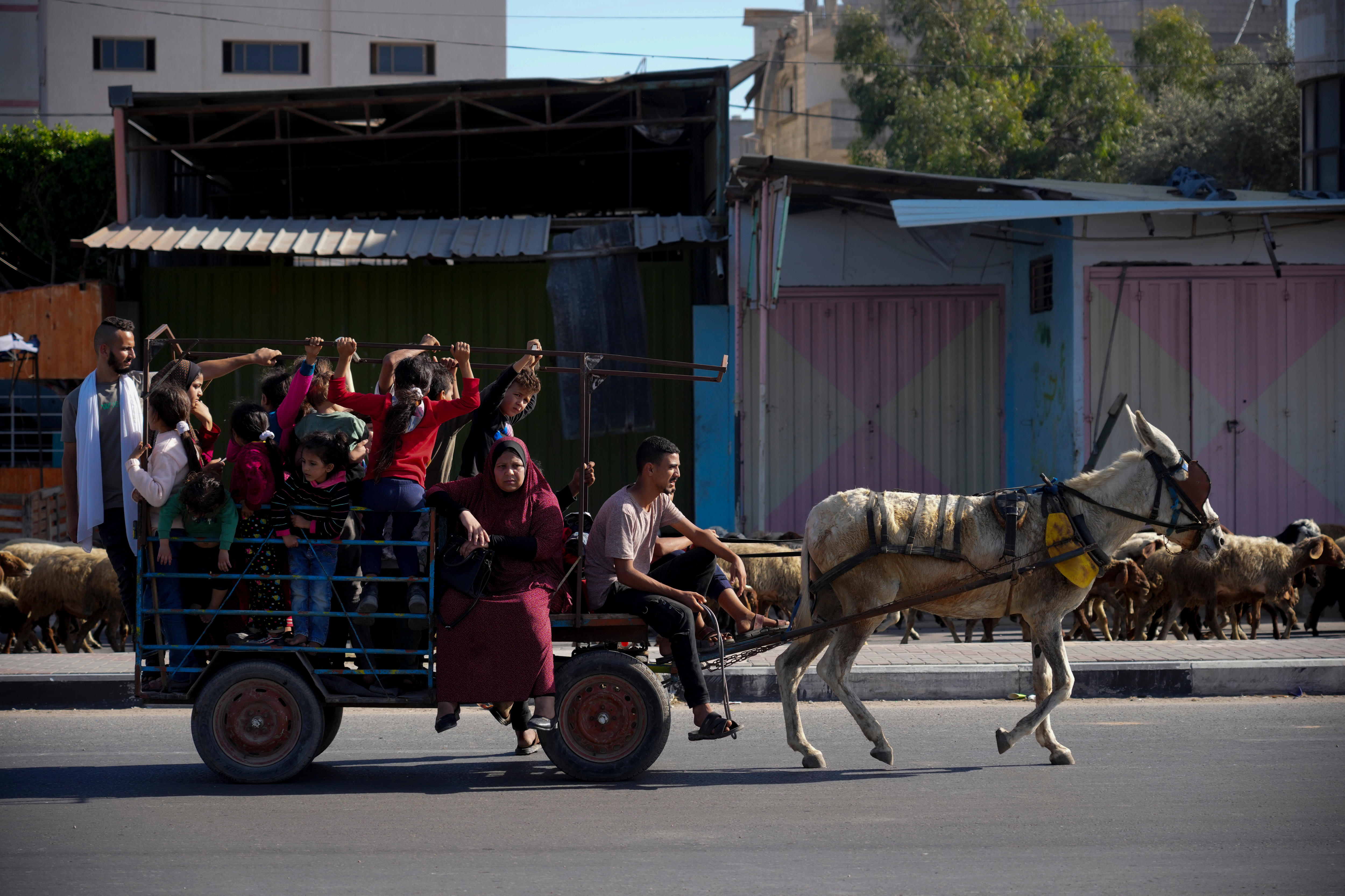 Palestinians in north Gaza are fleeing 'destruction and death'. Now ...