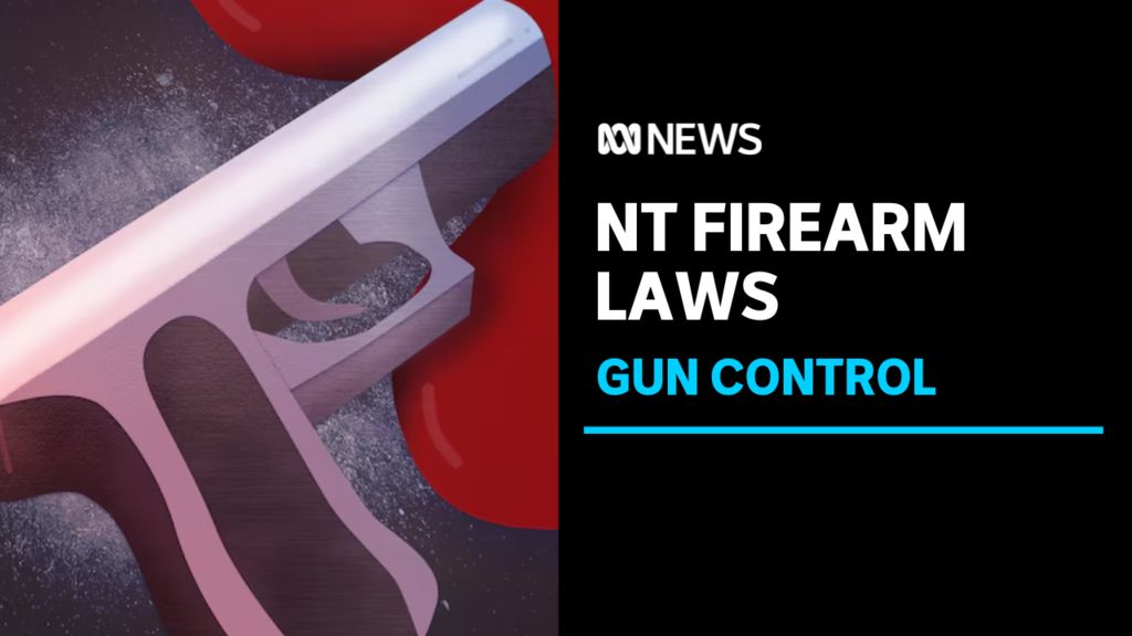 NT urged to strengthen 'ancient' gun laws - ABC News