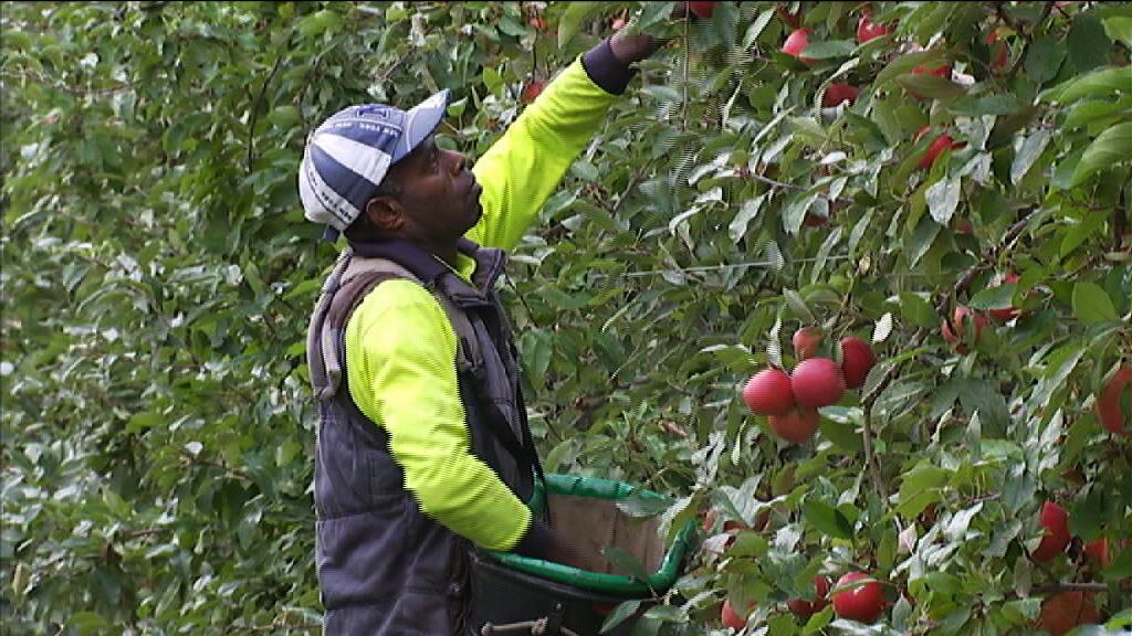 Pacific Solution - ABC News