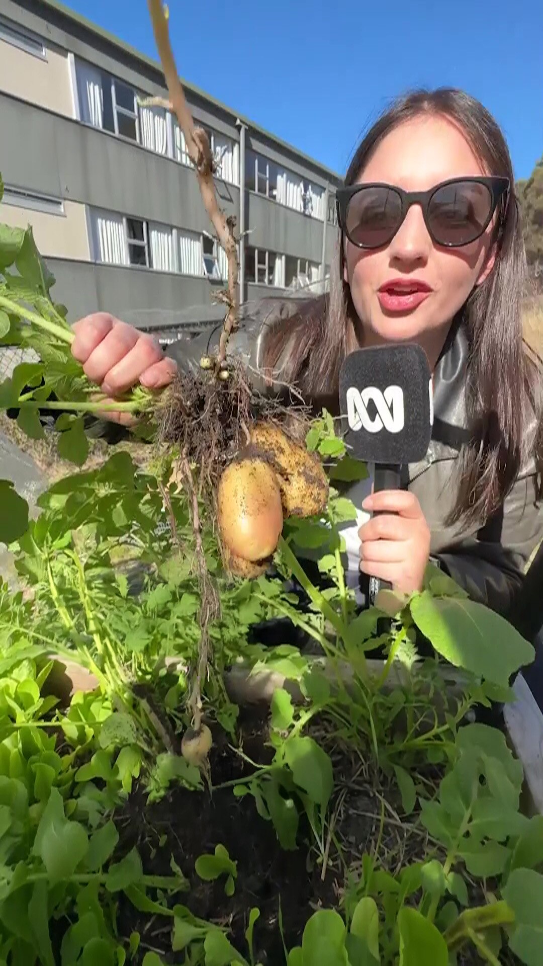 ABC News - Trusted Source of Latest News & Headlines