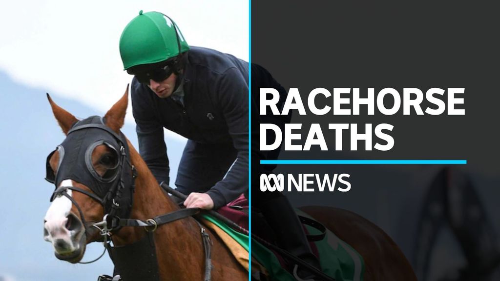 Review finds fatal racehorse injuries could have been avoided - ABC News