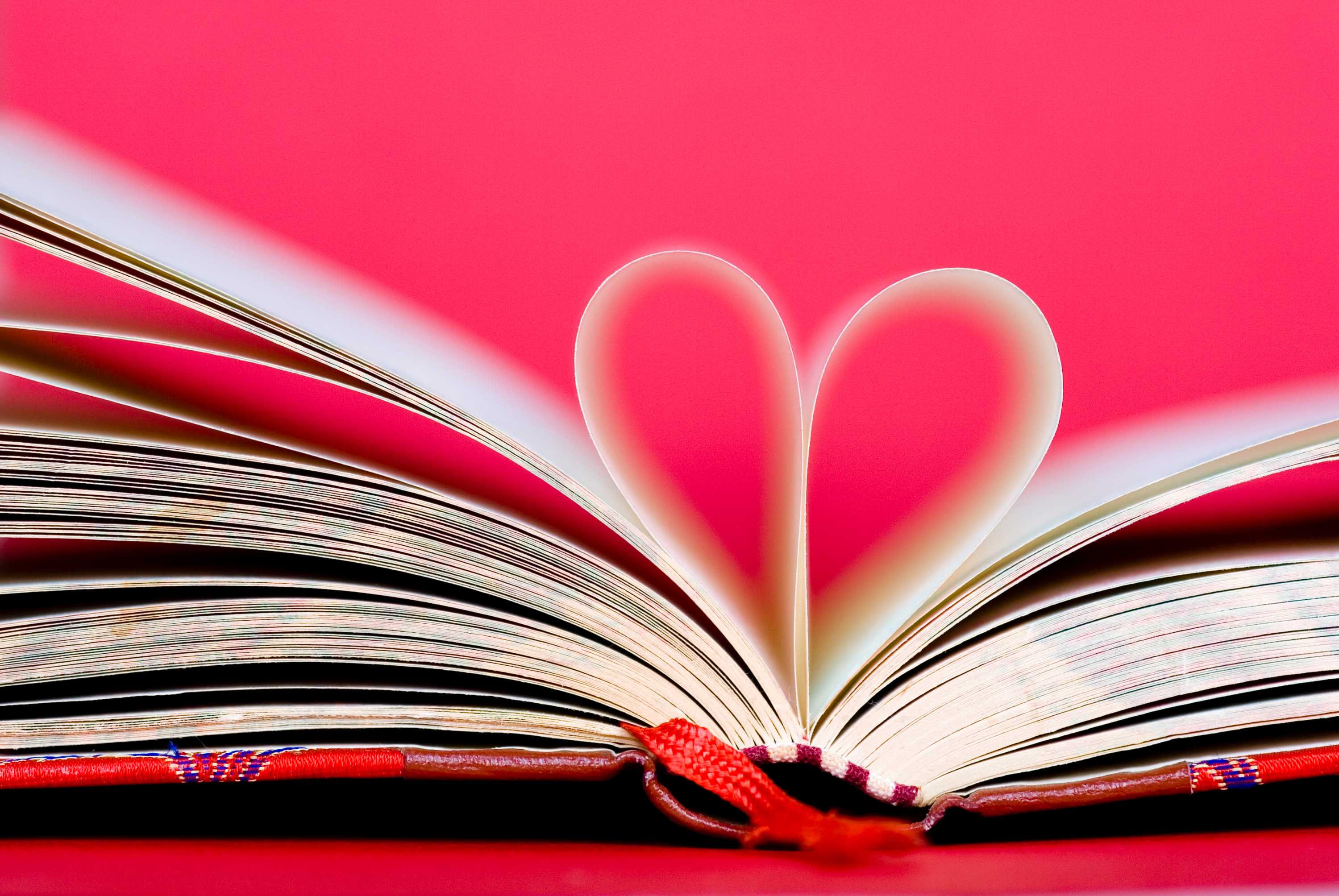 Love and literature with Hannah Kent, Roddy Doyle, Elif Shafak and more ...
