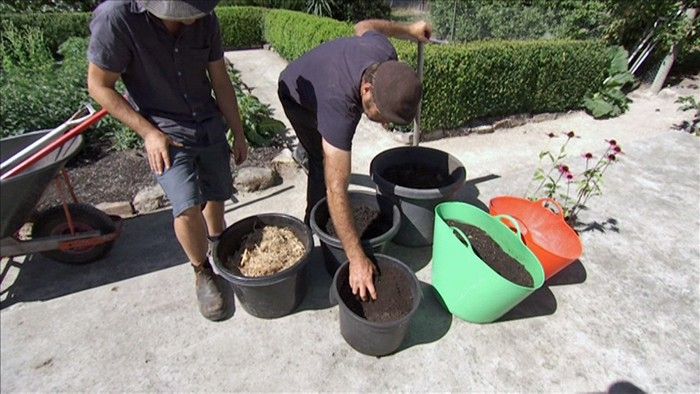 Let's Get Popping - Gardening Australia