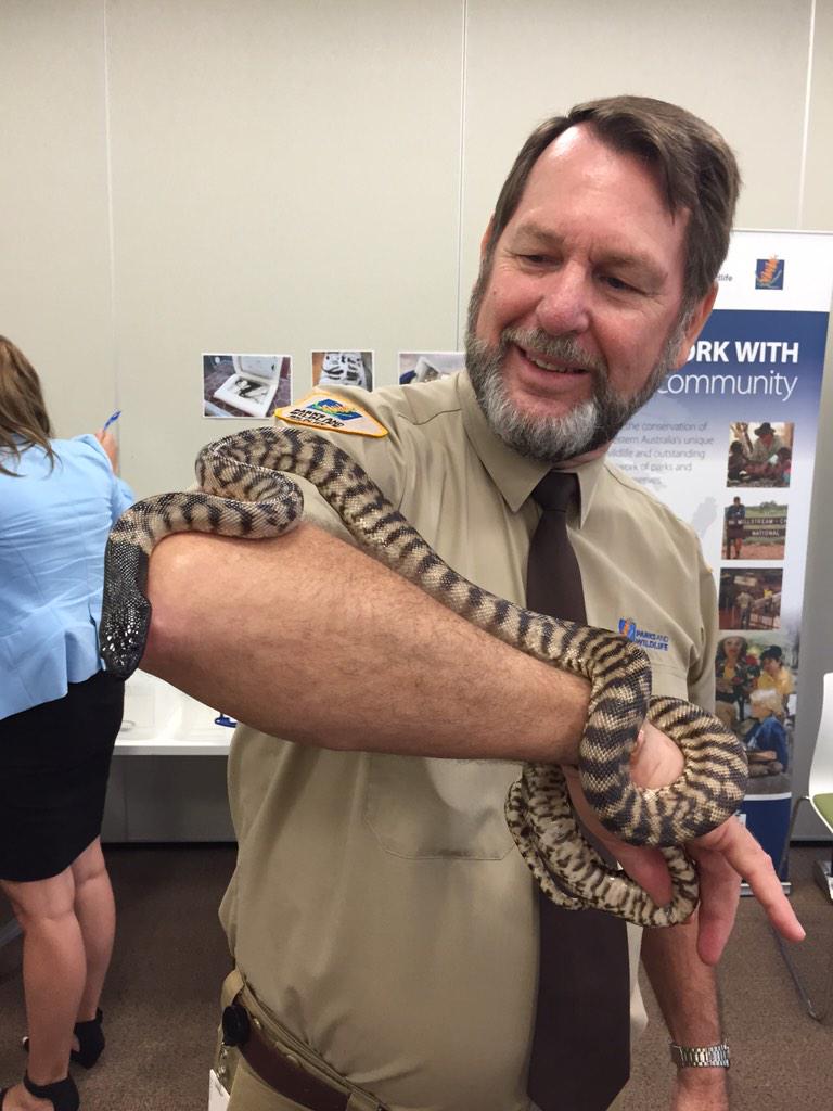 Four foreigners charged over illegal export of WA native wildlife - ABC ...