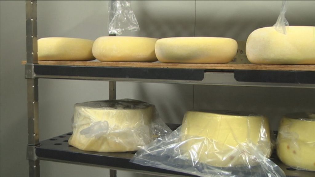 Adelaide students go crackers for cheese - ABC News