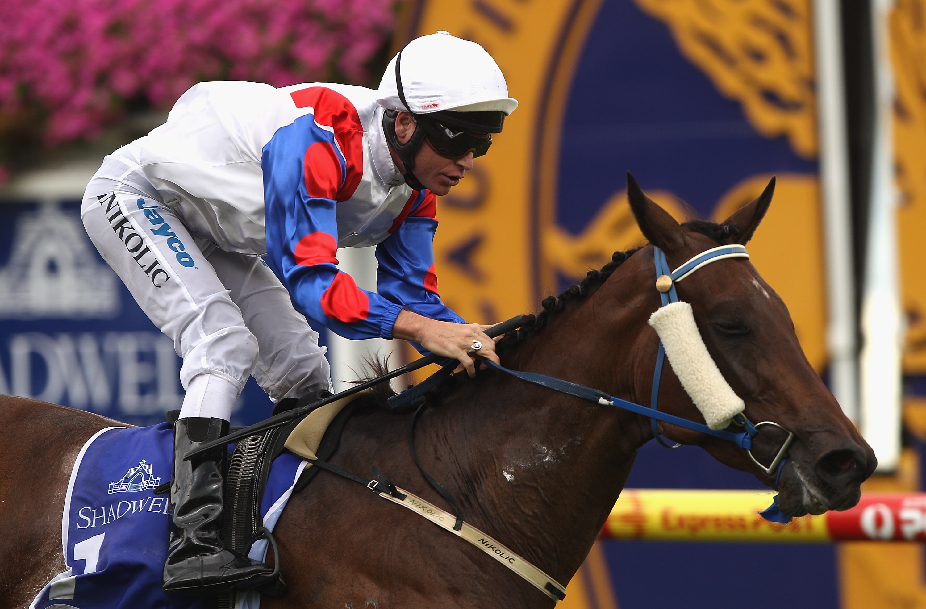 Official wanted Nikolic out of racing - ABC News