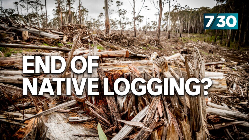 Concerns about a push to end logging of native trees in publicly owned ...