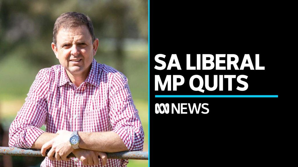 SA Liberal MP quits citing 'dark forces' and factionalism - ABC News