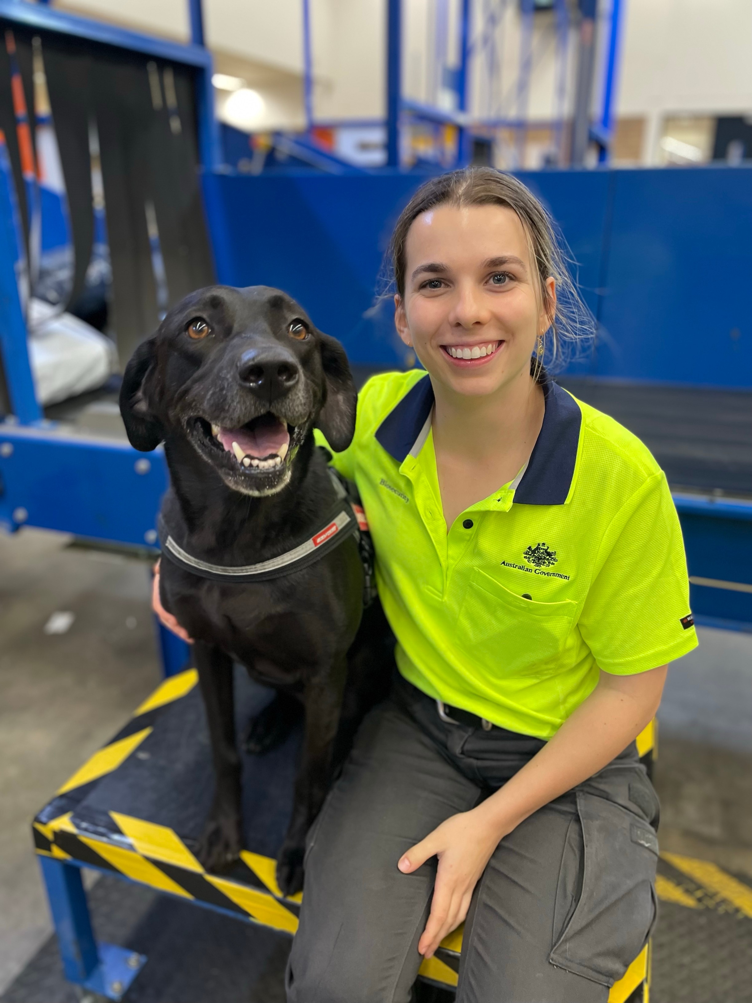 Sniffer dog 'Vespa' awarded at Sydney Royal Easter Show for record ...