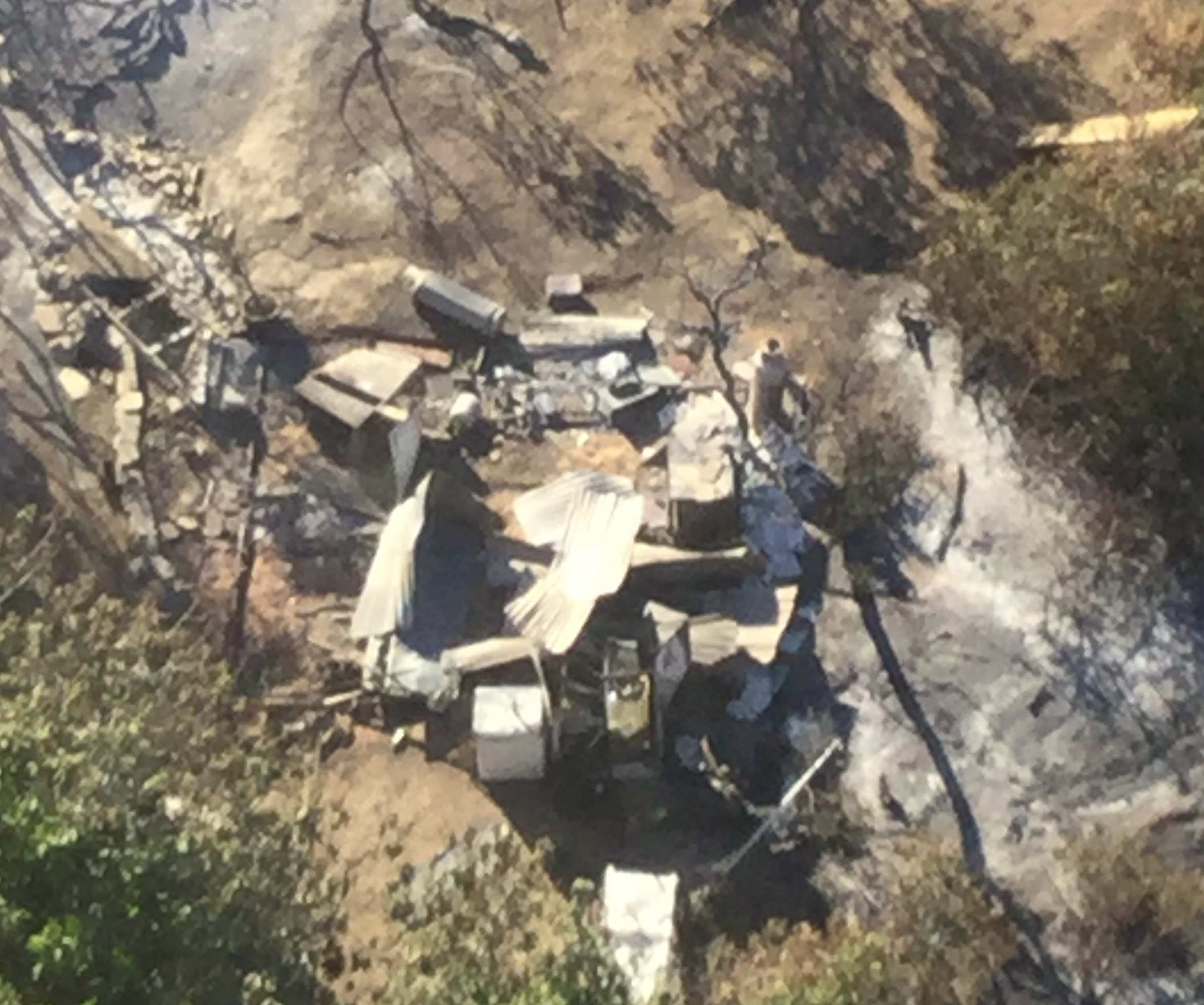 Kangaroo Island's Enchanted Fig Tree survives 'ferocious' bushfire as ...