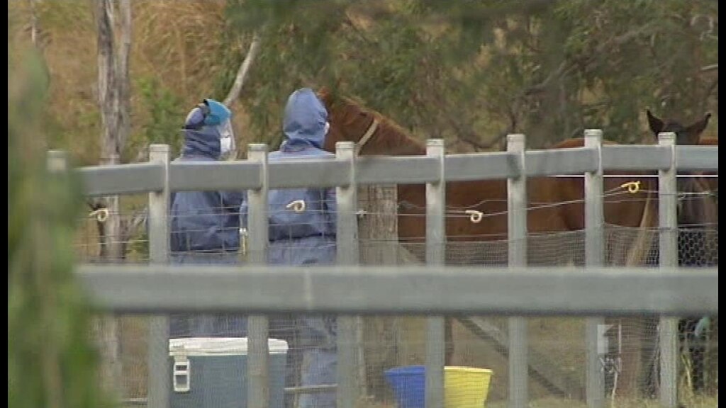 Hendra Pattern Consistent With It's Evolution: Scientist - ABC listen