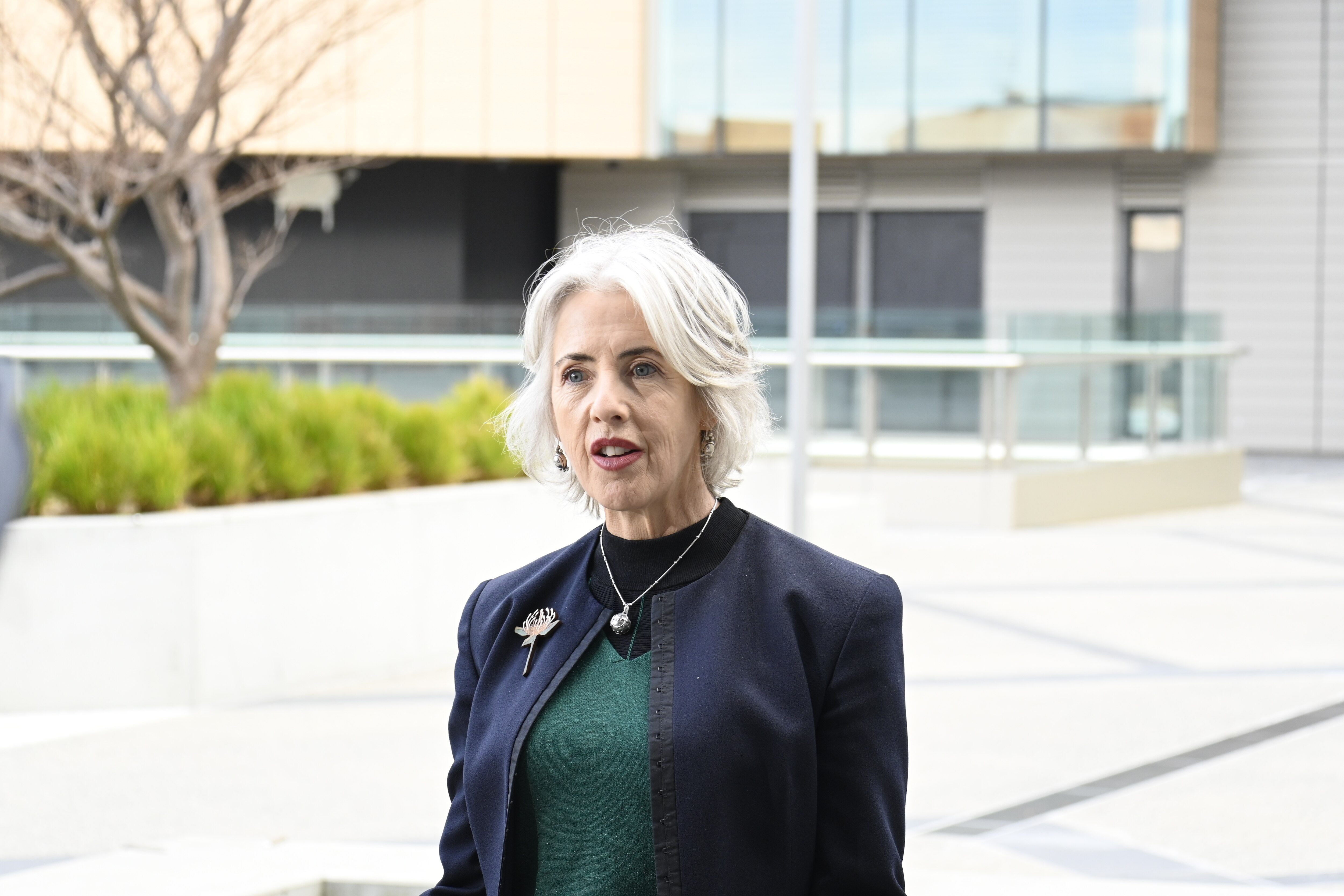 'We've got to work together' says Rosalie Woodruff as Greens locked out ...