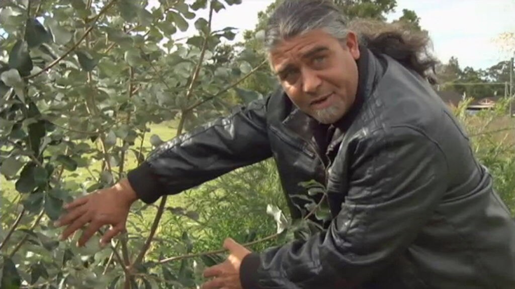 Community leader transforms NSW Aboriginal mission into memorial garden ...
