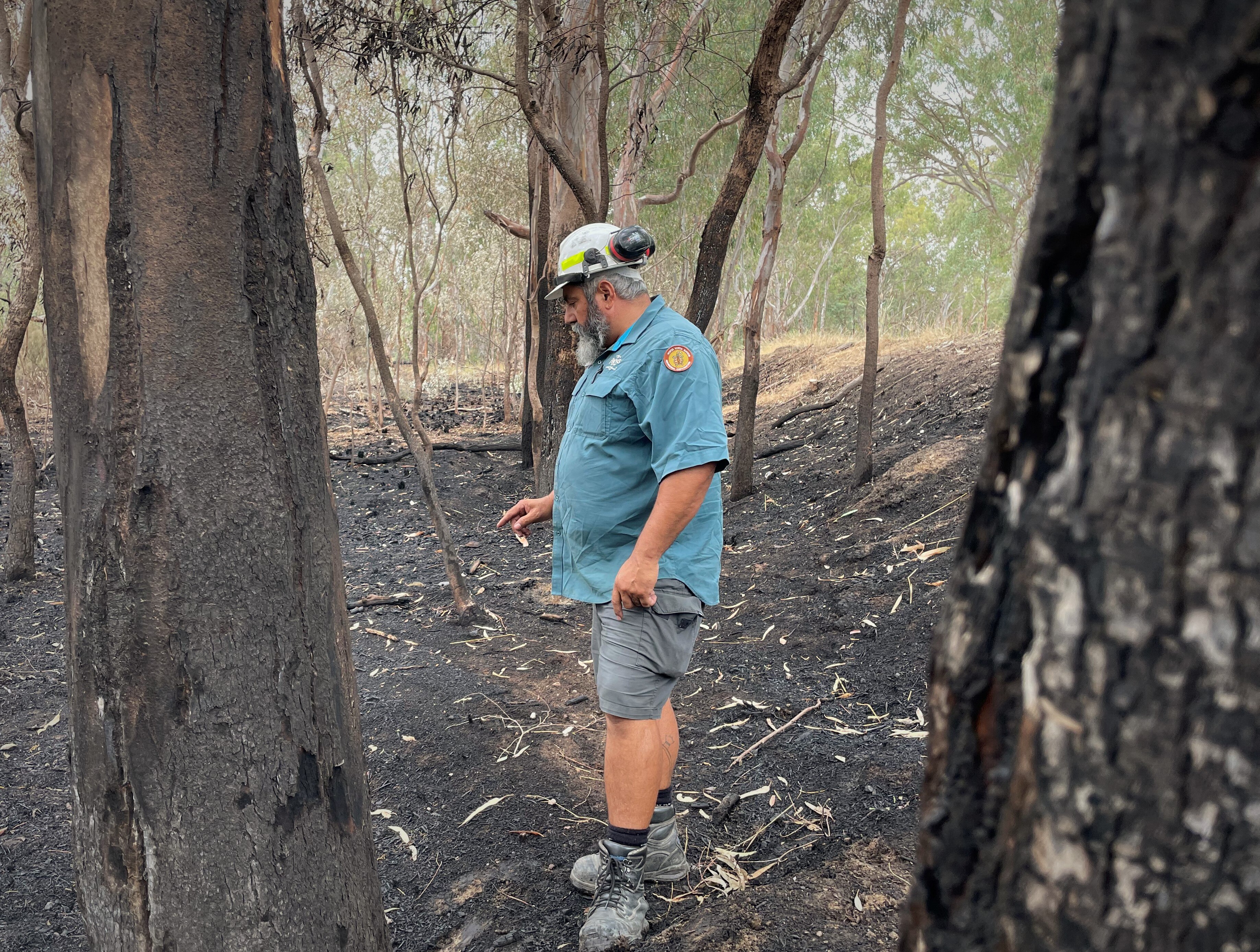 Aboriginal rangers assess cultural sites in wake of bushfires - ABC News