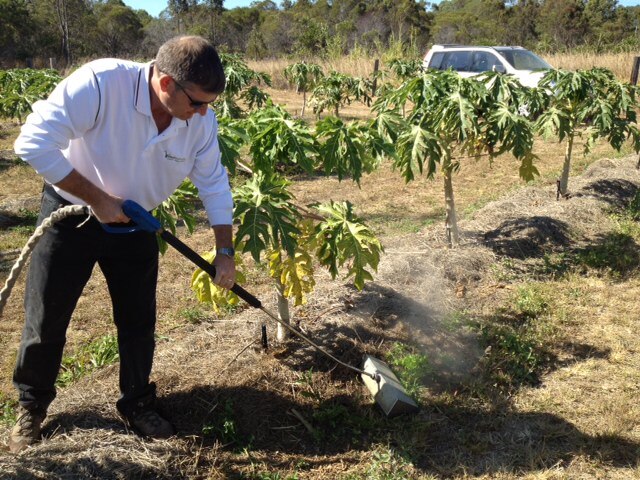 Weed control in hot water - ABC News