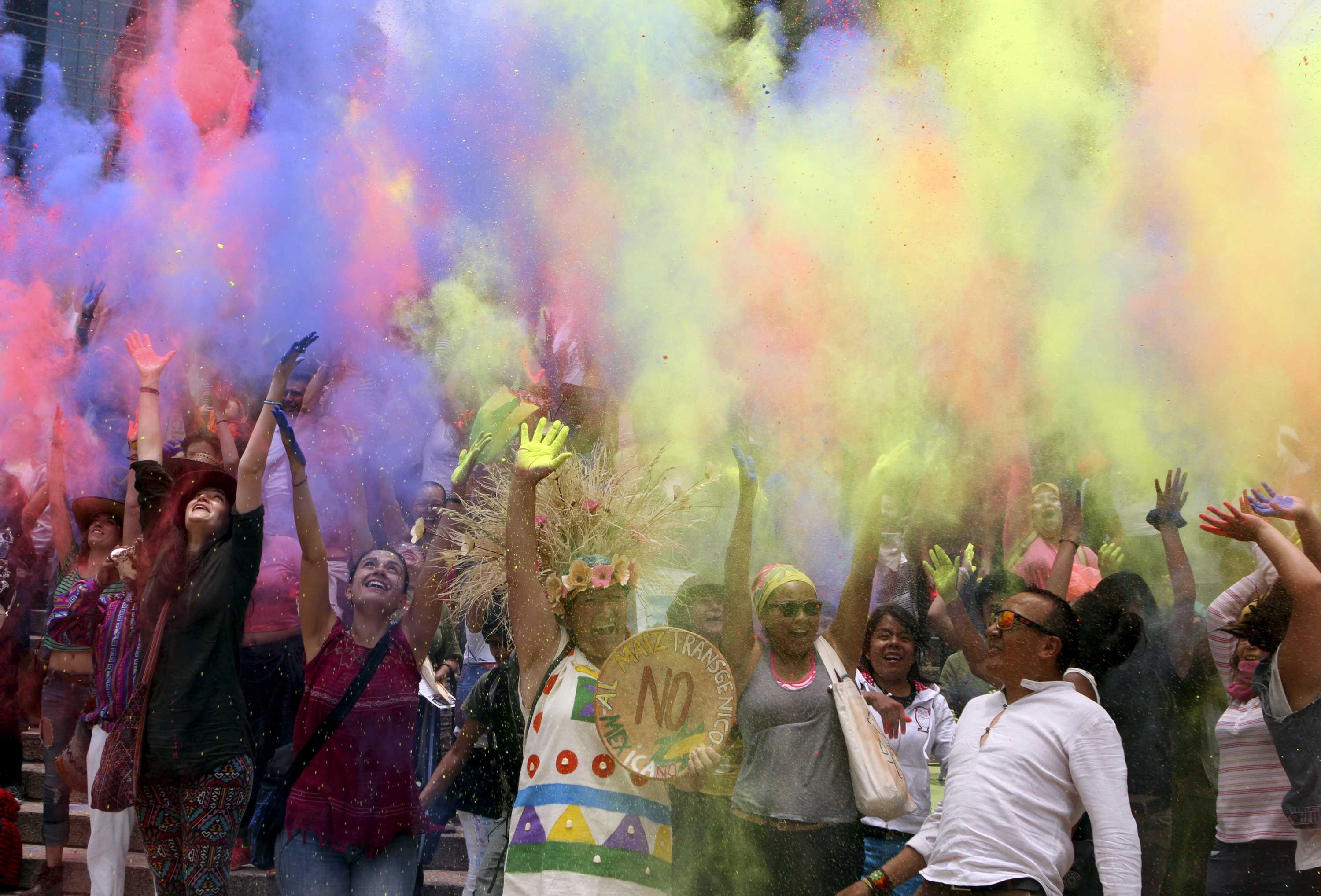 Protests against GMO crops and pesticides target Monsanto ...