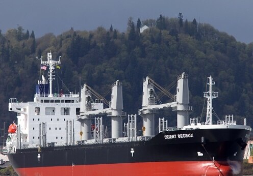 Cargo ship Orient Becrux allowed to leave Newcastle after addressing ...