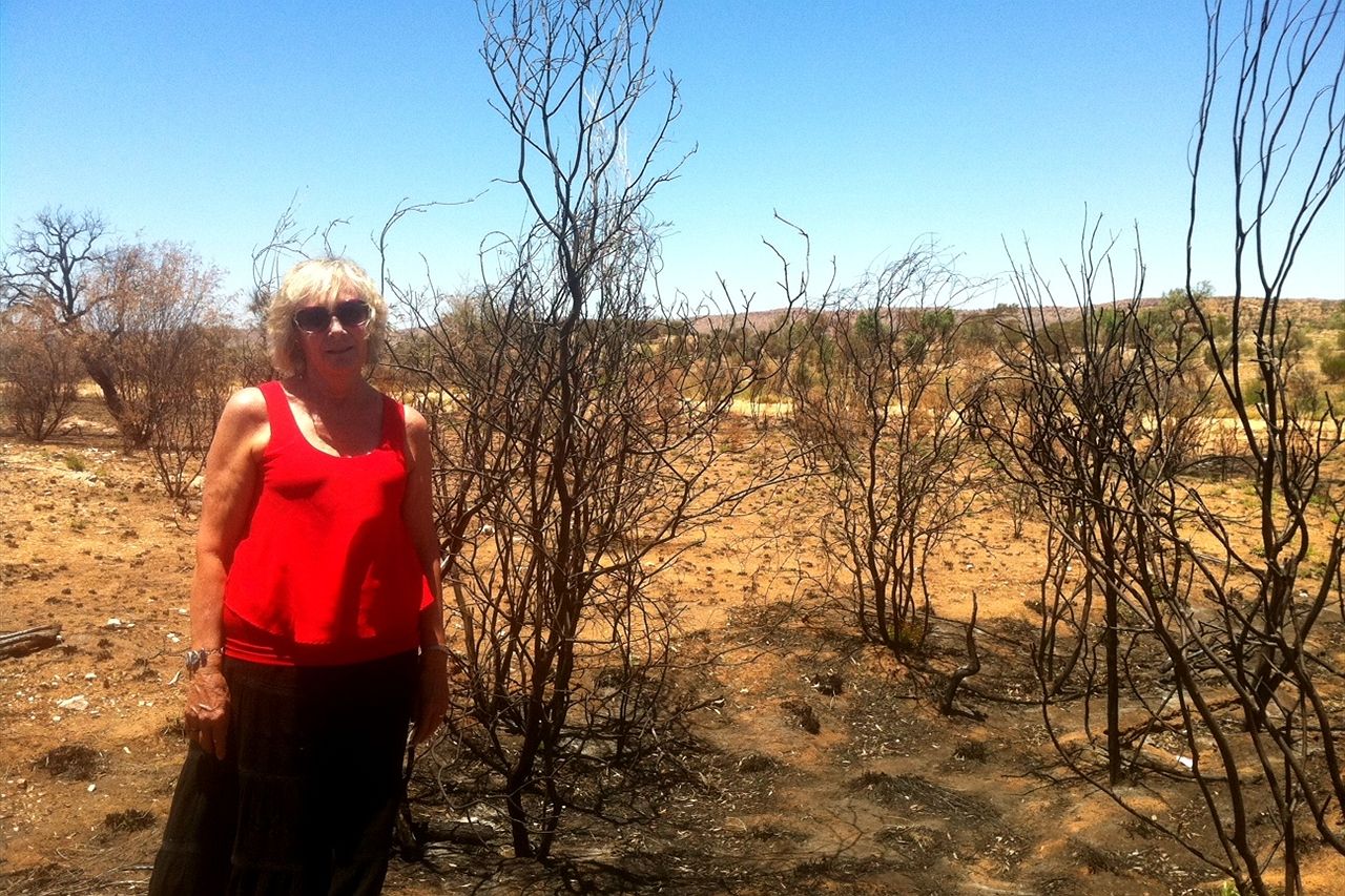 Buffel adds fuel to the fire - ABC News