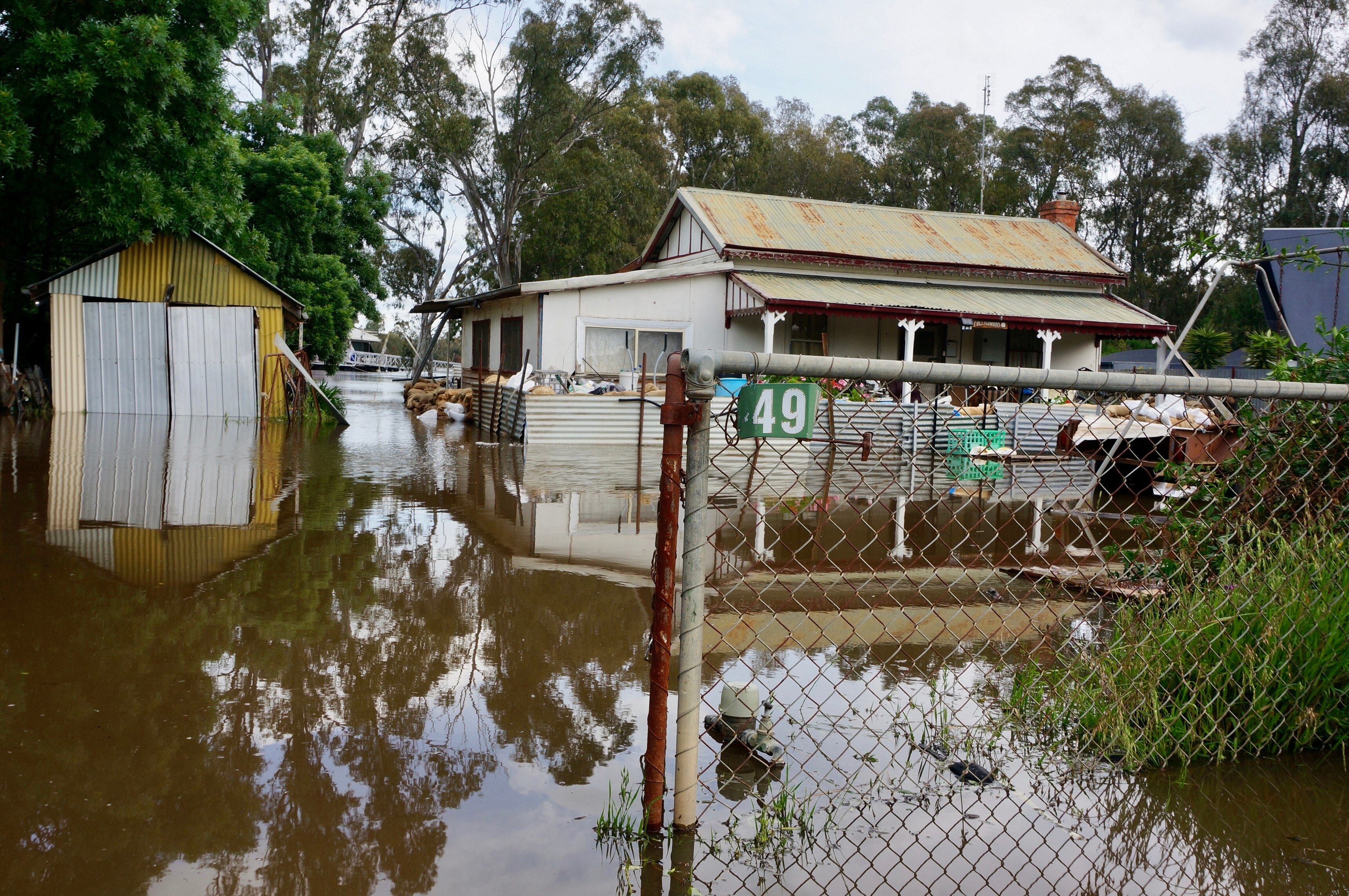 Calls For Permanent Echuca Flood Levee Abc Listen