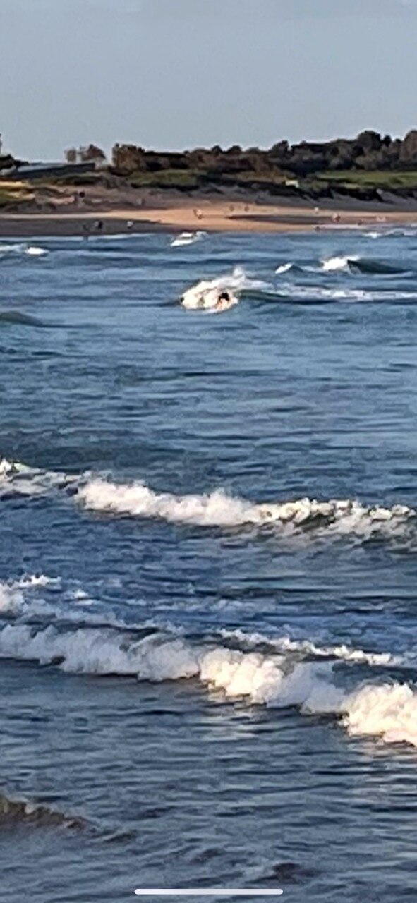 𝘣𝘰𝘬𝘦𝘱 𝘪𝘯𝘥𝘰𝘯𝘦𝘴𝘪𝘢 kate is a beautiful, warm and delightful