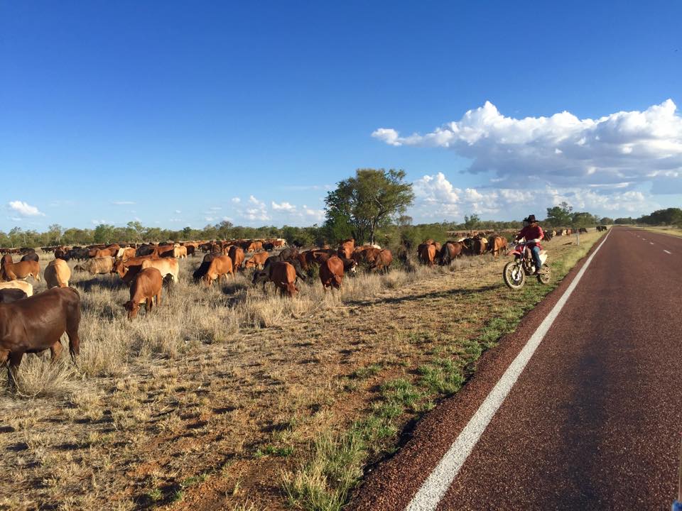 Taking the dry road: farm photos from drought-affected western ...