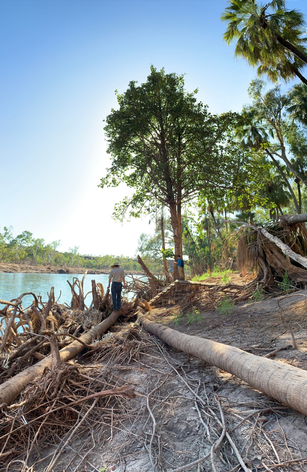 Boodjamulla National Park (Lawn Hill) closed, signalling blow to north ...