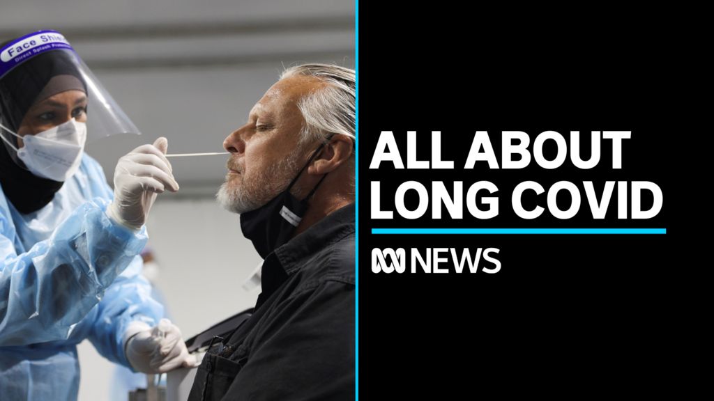 Orangutan conservationist Lone Droscher speaks with ABC News Breakfast