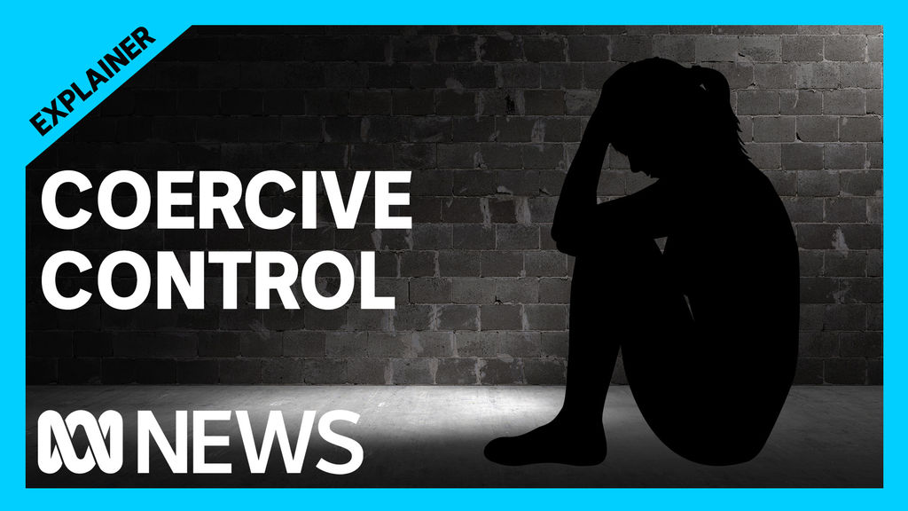 Jessica van Vonderen explains new coercive control laws - ABC News