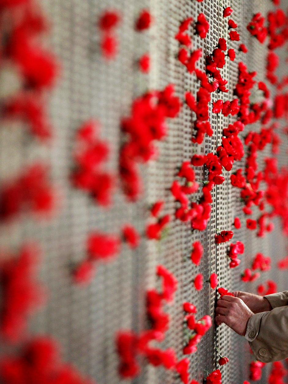 Scott MacInnes - ABC News