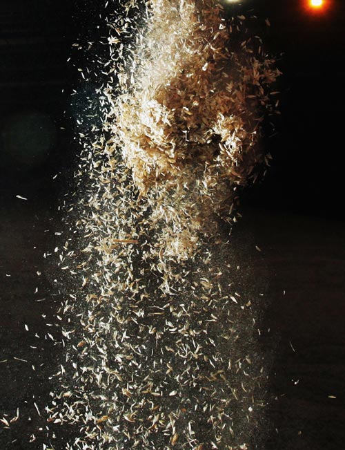 Arctic seed bank readied for 'doomsday' scenario - ABC News