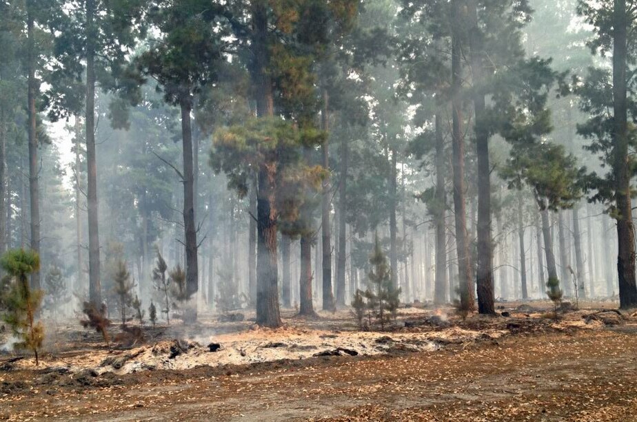 Bushfire warning for the south-west downgraded - ABC News