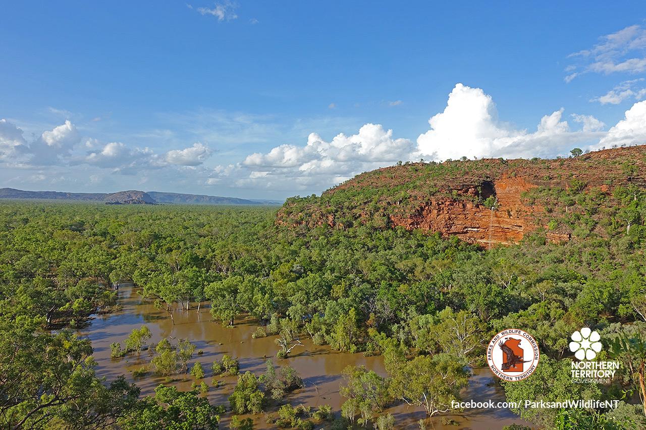 Keep River National Park 'lush' after above average wet season rainfall ...