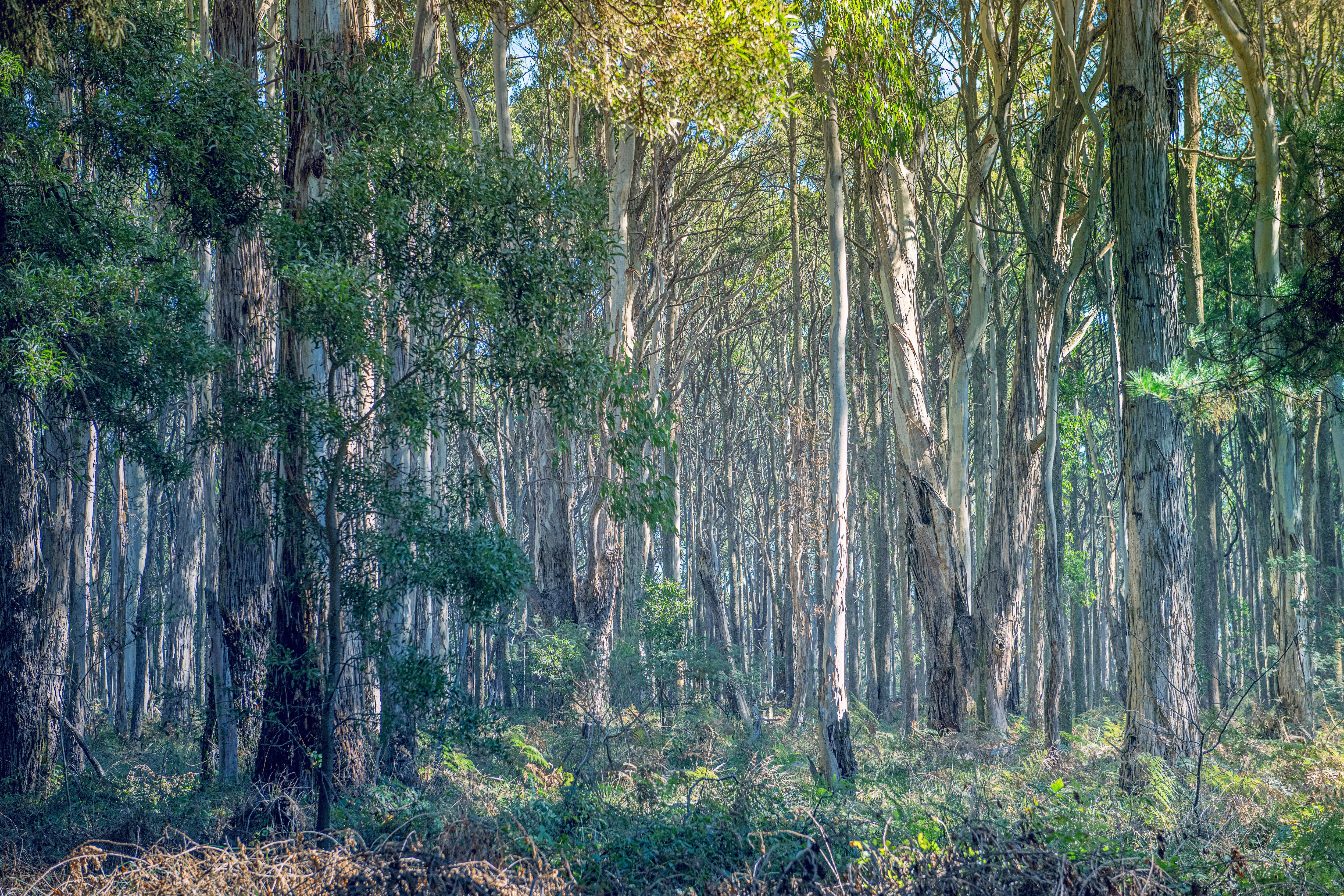 Saturday Extra with Nick Bryant - ABC listen